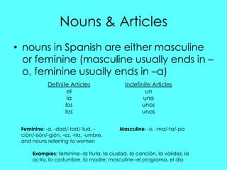 Spanish 4 h grammar book | PPTX