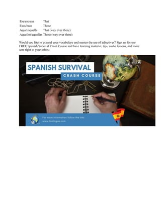 Spanish Adjectives | PDF