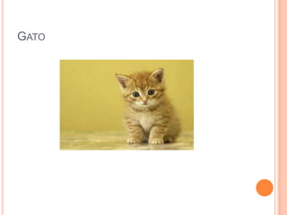 Spanish alphabets | PPT