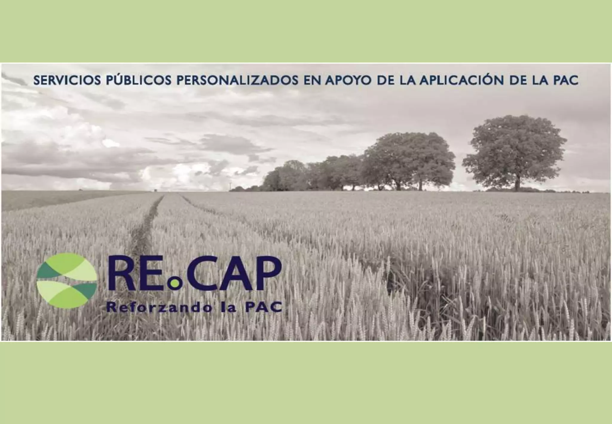 RECAP Horizon 2020 Project - Spanish Brochure | PPT