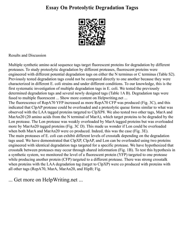 Spanish Business Letter Format | PDF