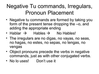 Spanish grammar book | PPT