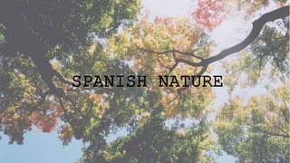 Spanish nature | PPT