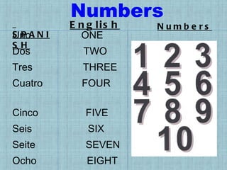 Spanish ppt molly | PPT