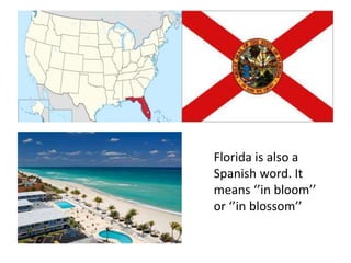 Spanish in the US | PPTX