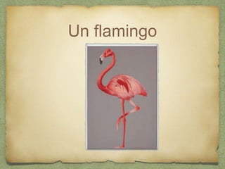 Spanish 1 Question words- Ms. Vanko | PPTX