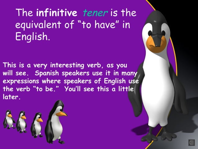 Spanish Verb tener and its expressions