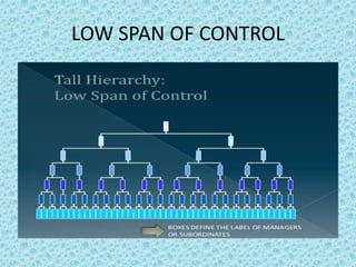 Span of control ppt | PPTX