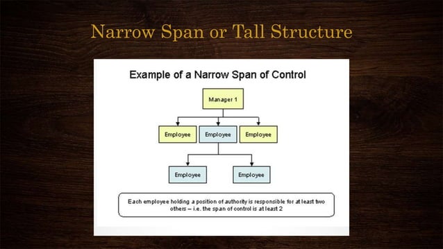 Span OF Management | PPTX | Business | Business and Finance