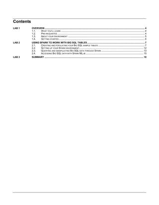 Big Data: Working with Big SQL data from Spark | PDF