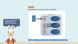 H2O World - Sparkling water on the Spark Notebook: Interactive Genomes ...