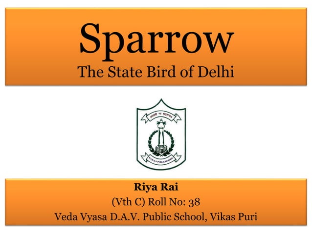 Sparrow | PPTX