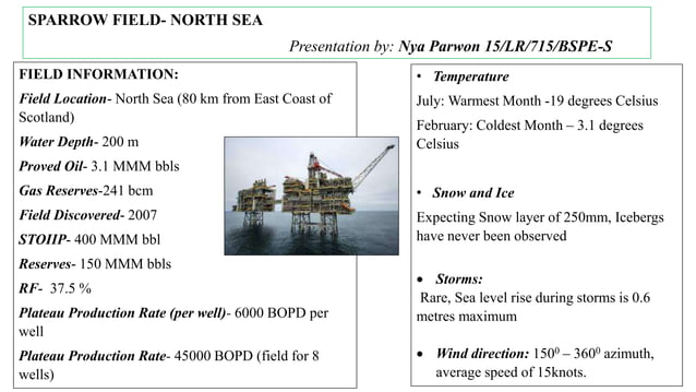 Sparrow Field- Presentation | PPT