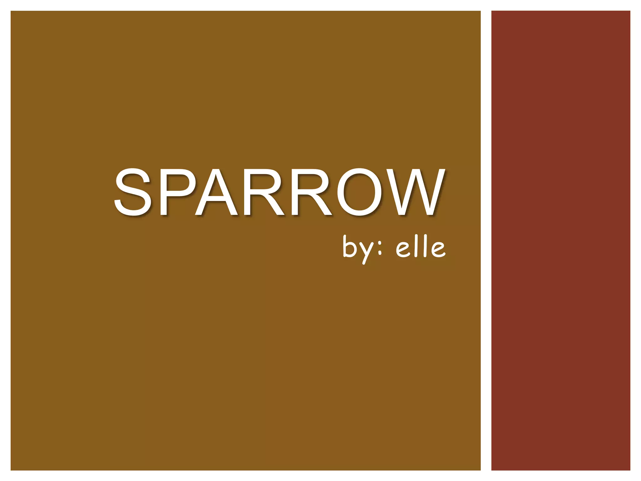 Sparrow Presentation | PPTX