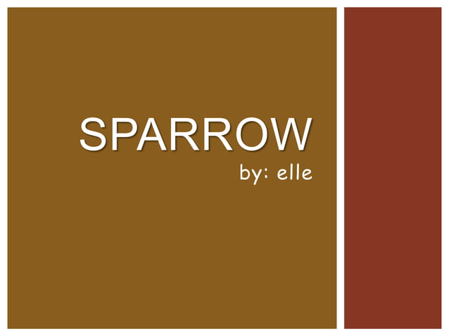 Sparrow Presentation | PPTX