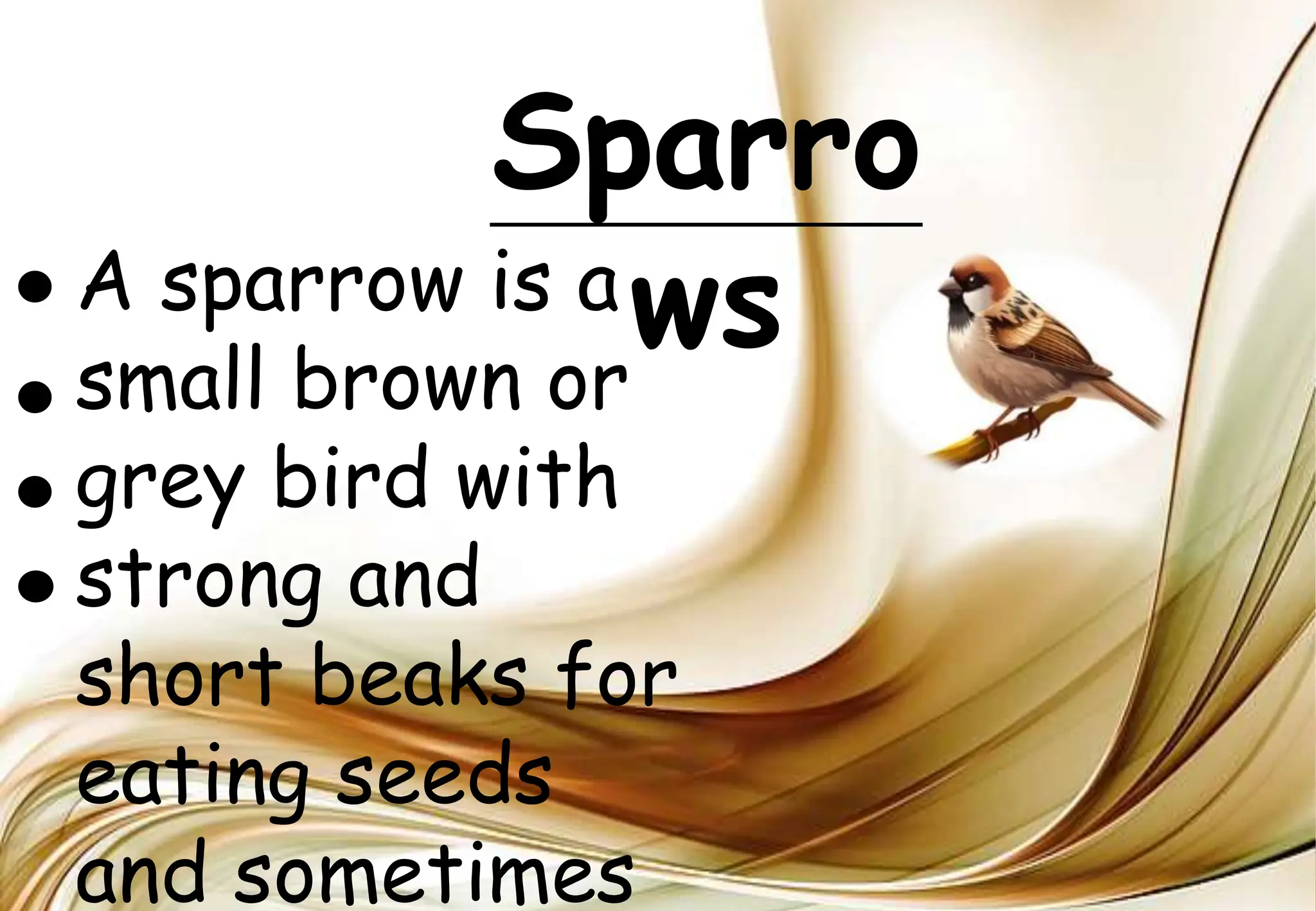 Biological sparrows and types lec1.pptx