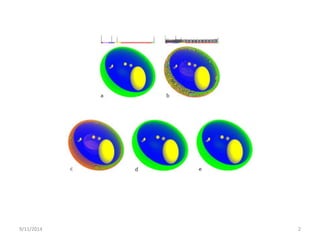 Sparse PDF Volumes for Consistent Multi-resolution Volume Rendering | PPT