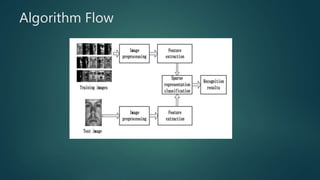 Sparse representation face r_ecognition | PPT