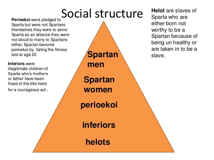 Sparta shaun & arsalan