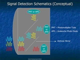 Spaser Amplifier for Small Signal Detection for Raman Scattering ...