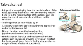 Spastic flat foot maitreya patil | PPTX