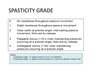Spasticity | PPTX