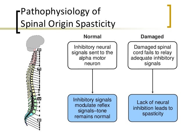 Spasticity