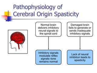 Spasticity .ppt