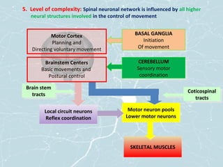 Spasticity in Rehabilitation | PPT