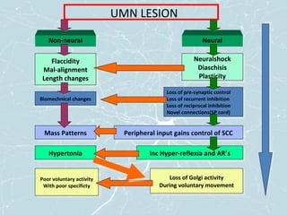 Spasticity in Rehabilitation | PPT