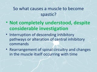 Spasticity in Rehabilitation | PPT