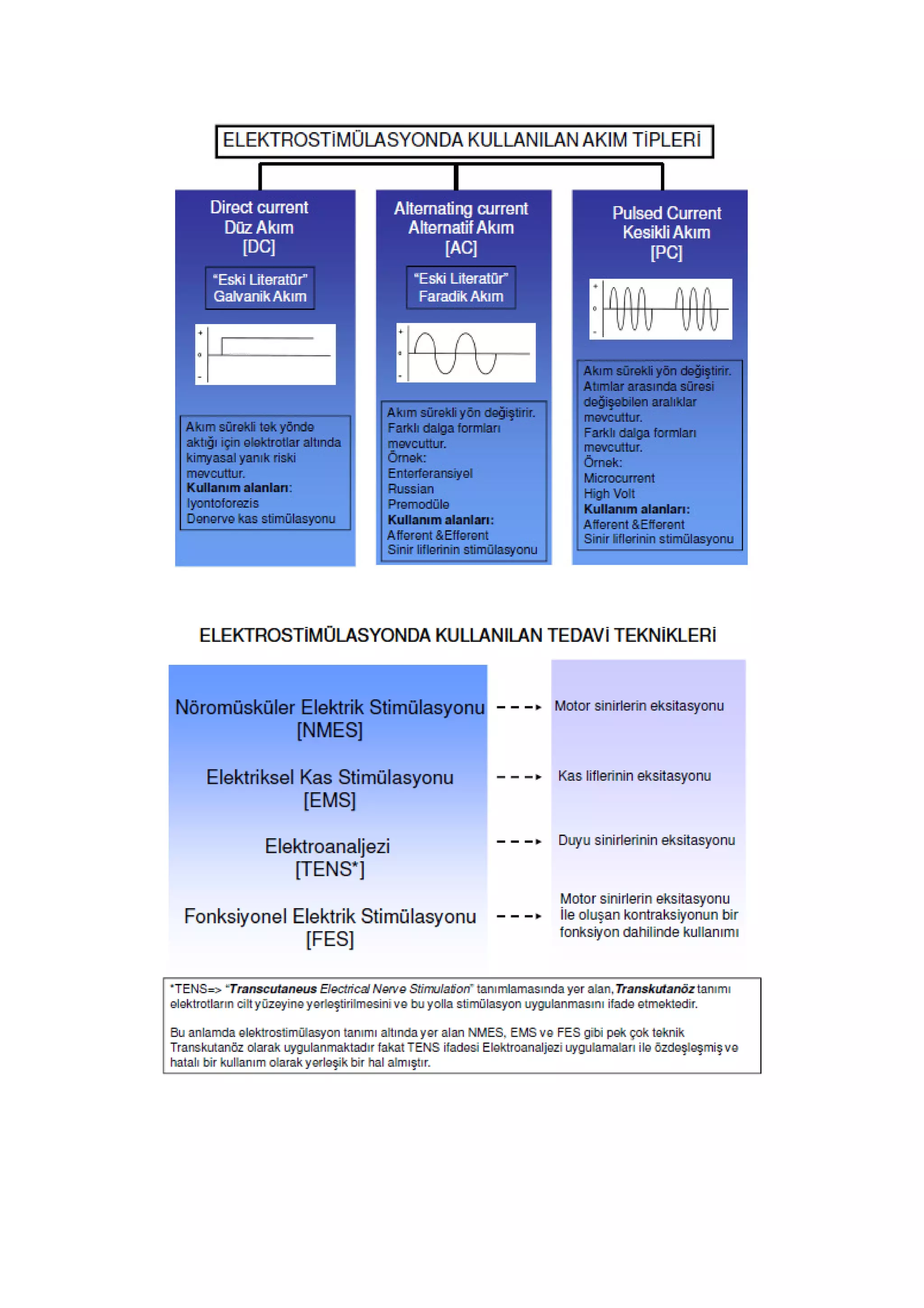 Spastisite&NMES | PDF