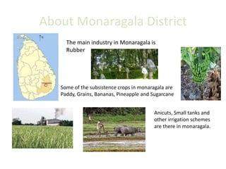 Spatial development in sri lanka | PPT