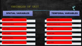 Spatial and temporal variables of gait | PPTX
