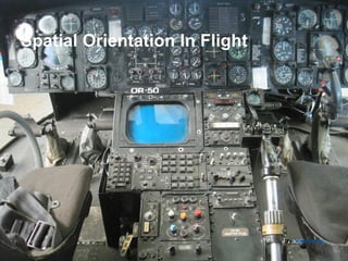 Spatial Disorientation | PDF