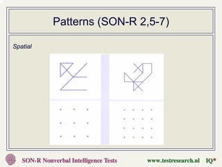 Spatial Intelligence Test