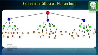 Spatial interaction_Human Geography | PPTX