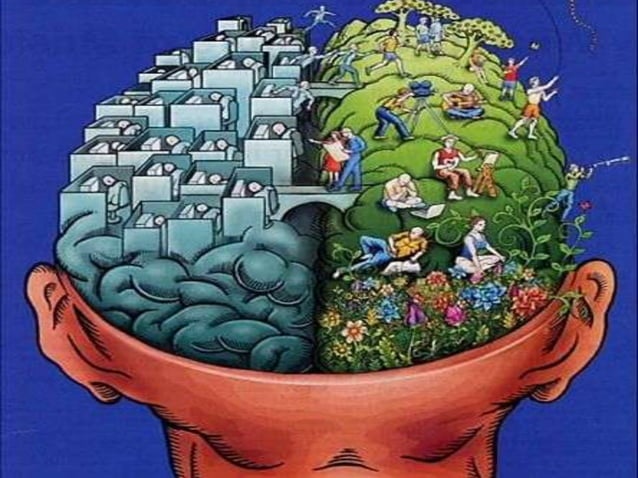 Spatial Learner | PPT