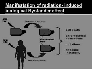 Spatially fractionated radiation therapy(grid therapy) | PPTX