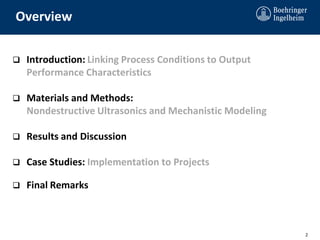 Spatially resolved characterization of capping using nondestructive ...