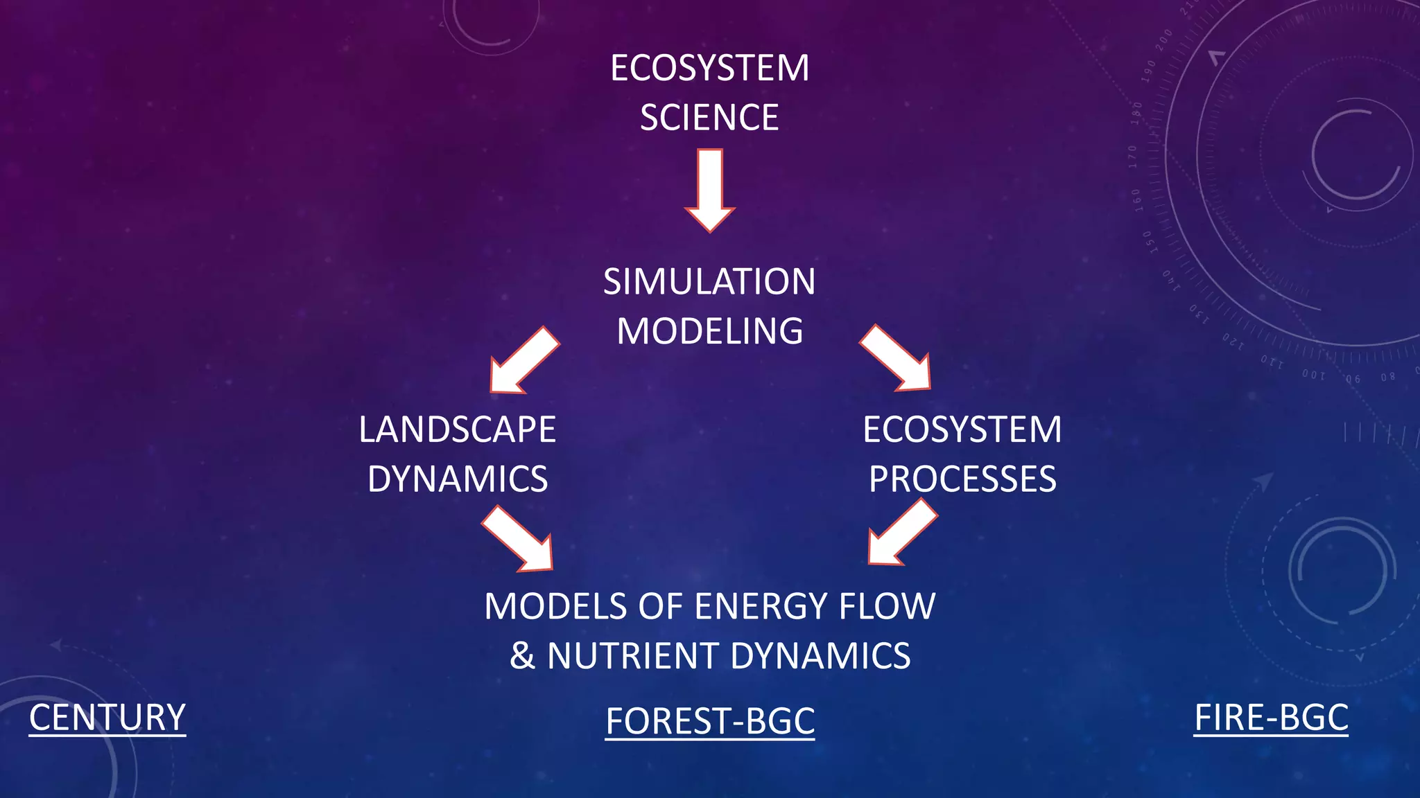 Spatial models of energy flow and nutrient dynamics | PPTX