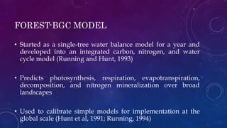 Spatial models of energy flow and nutrient dynamics | PPTX