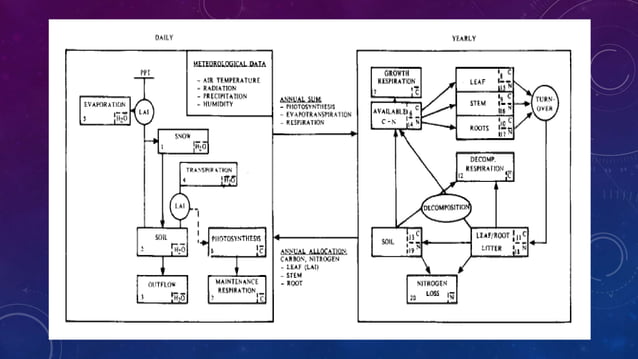 Spatial Models Of Energy Flow And Nutrient Dynamics Ppt