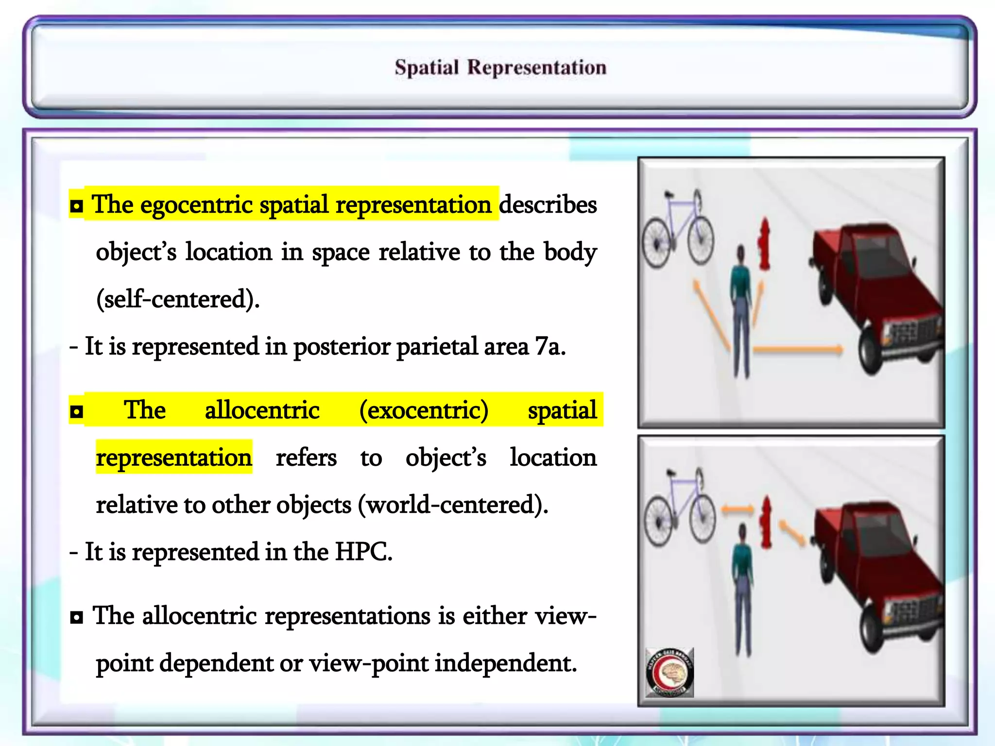 Spatial navigation and Alzheimer's Disease revised 2018 | PPTX | Brain ...