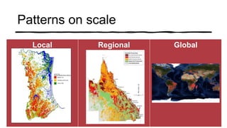 Spatial patterns terminology | PPTX