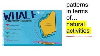 Spatial patterns terminology | PPTX