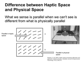 Spatial perception presentation | PDF