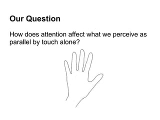Spatial perception presentation | PDF