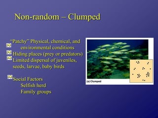 Lab 8 - Spatial Relations | PPTX