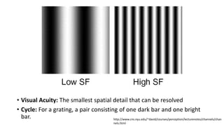 Spatial vision | PPTX